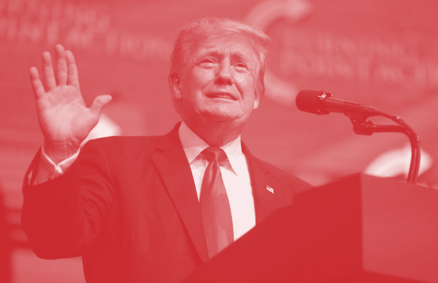 Content moderation news: Meta lets Donald Trump on its platform